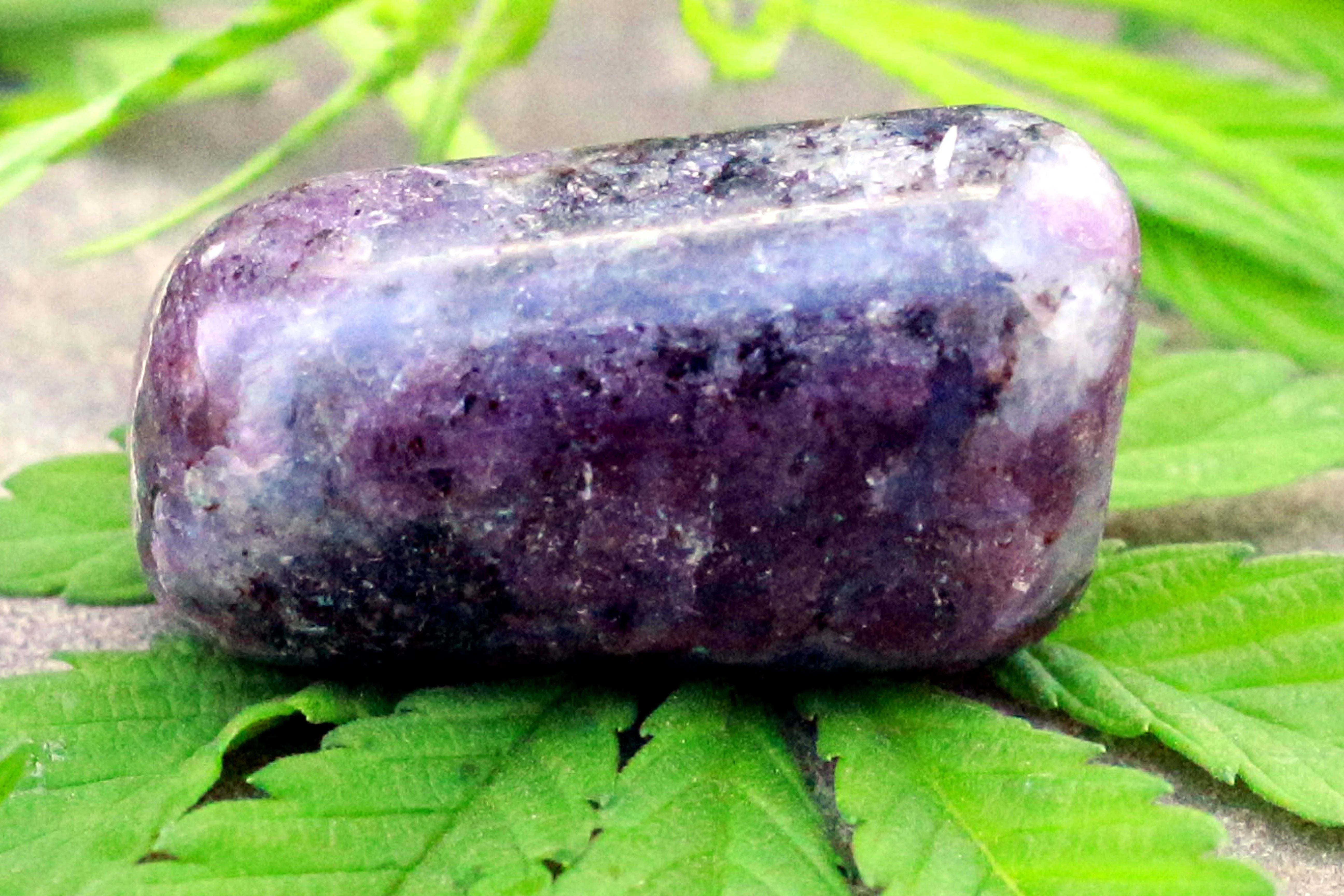 Indian Ruby Tumble — BrahmatellsStore