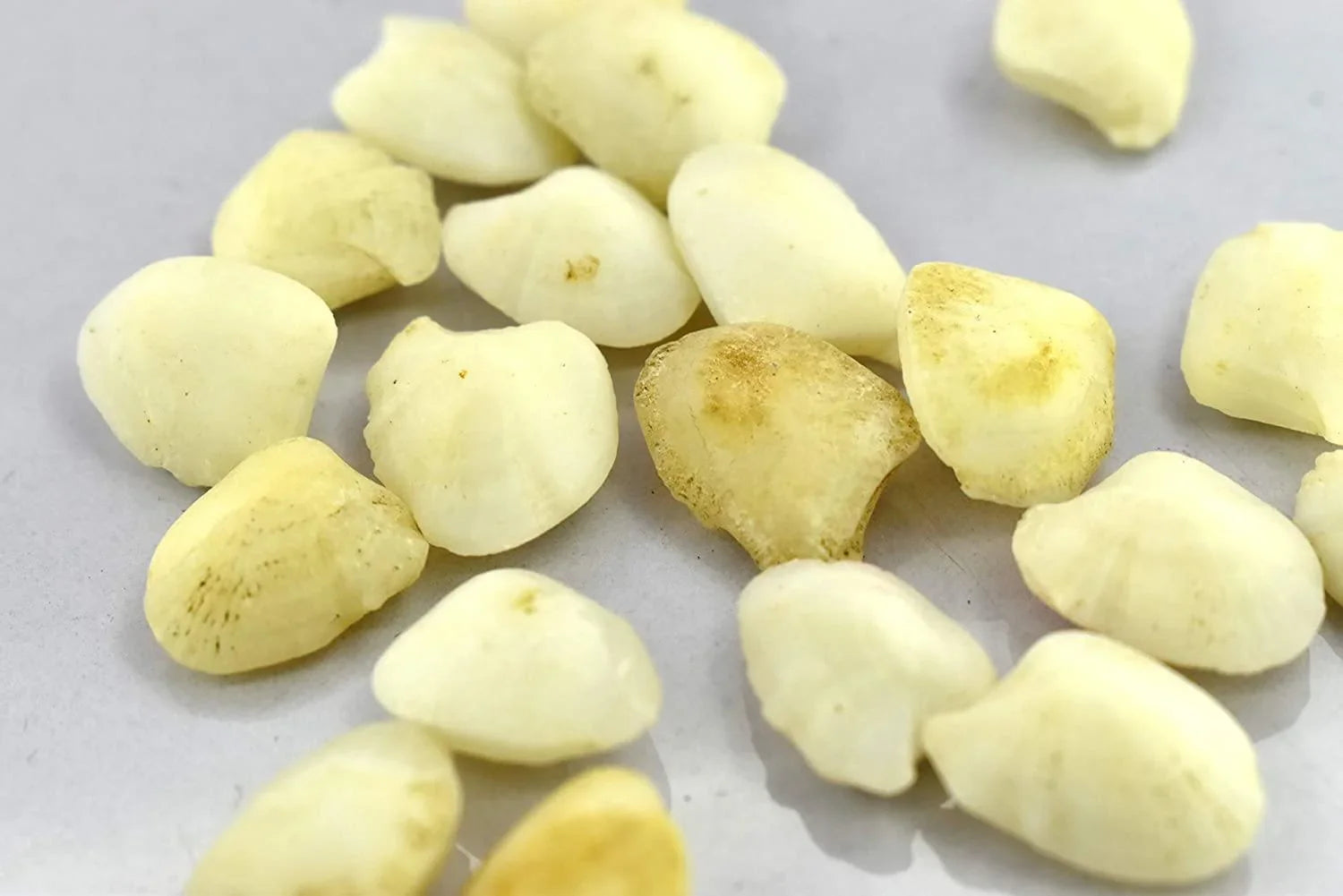 Machmani Stone | Brahmatells — BrahmatellsStore