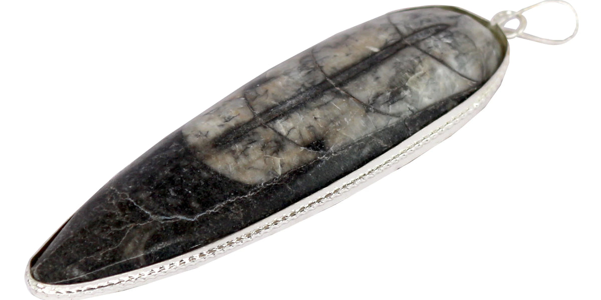 Orthoceras Pendant - Kuber Stone for Abundance & Protection ...