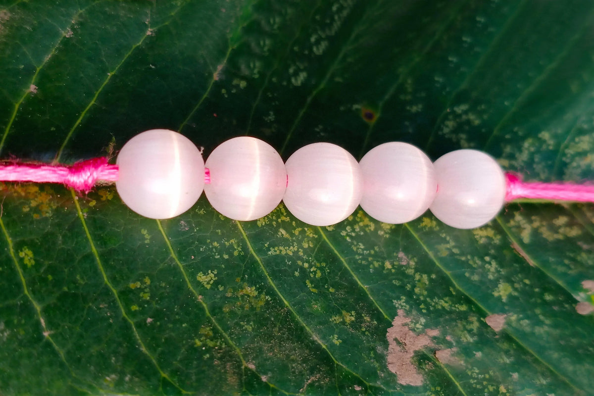 Ruling Number 2 — BrahmatellsStore