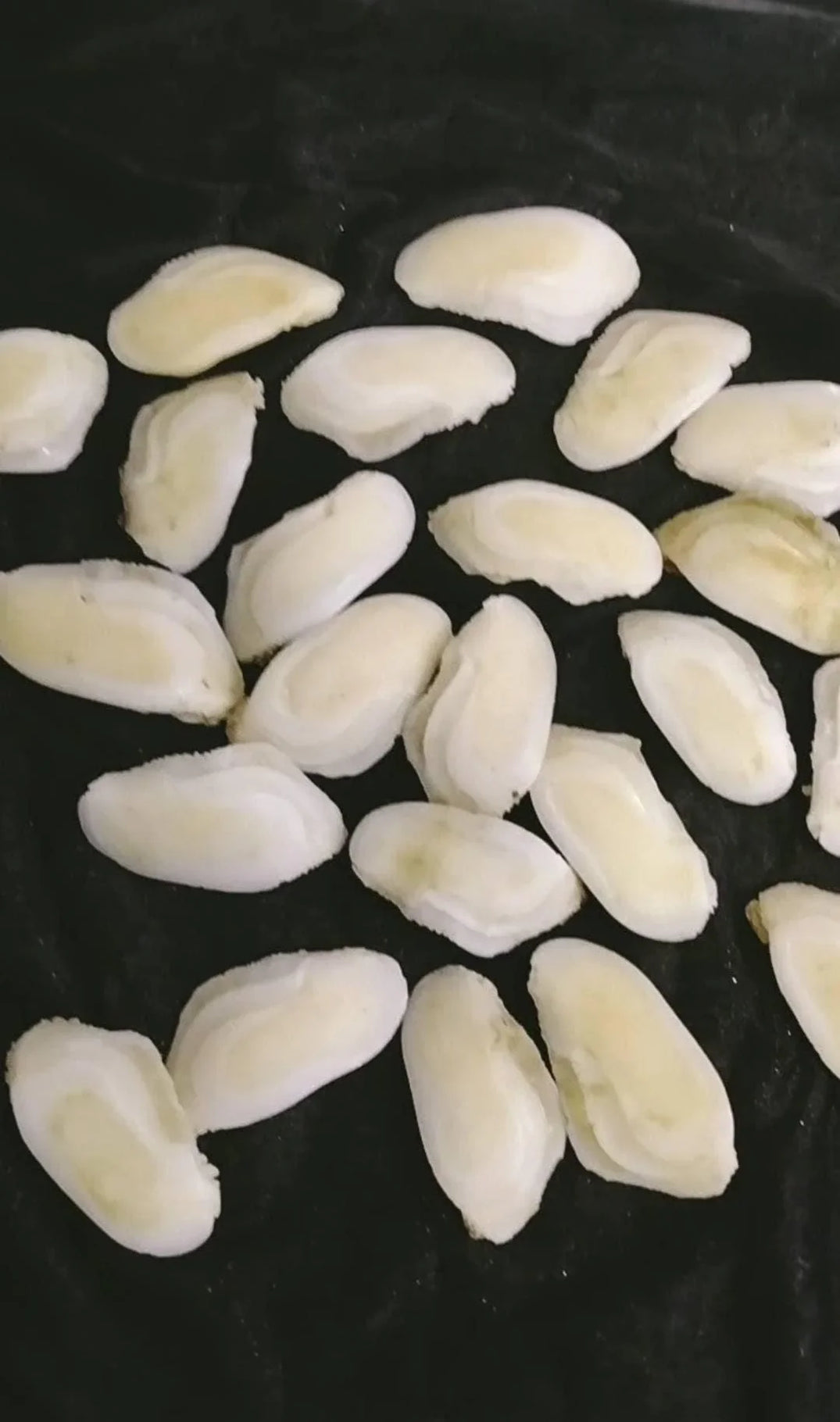 Shukra Mani Stone | Brahmatells — BrahmatellsStore